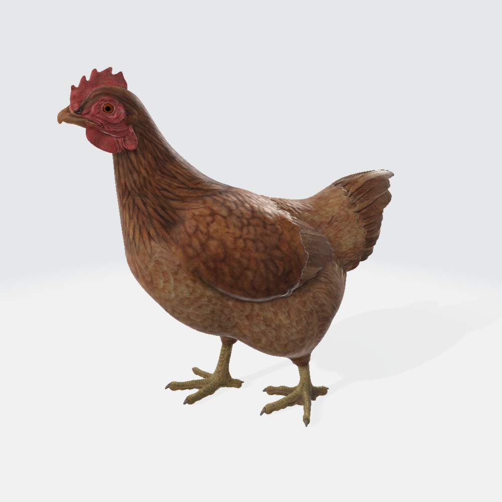 Hen 3D Model Free glb Download - GetGLB